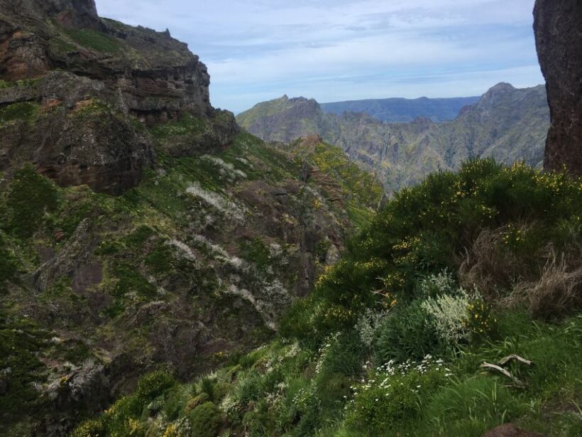From Funchal: Santana and Pico do Areeiro East Island Tour - FAQs