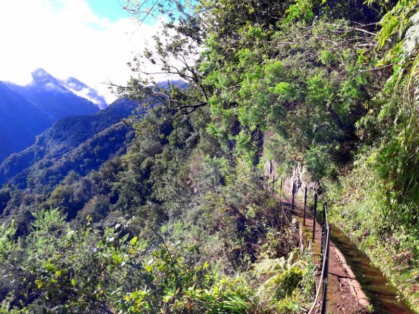 From Funchal: São Jorge Valleys Levada Walk - Practical Details & Value