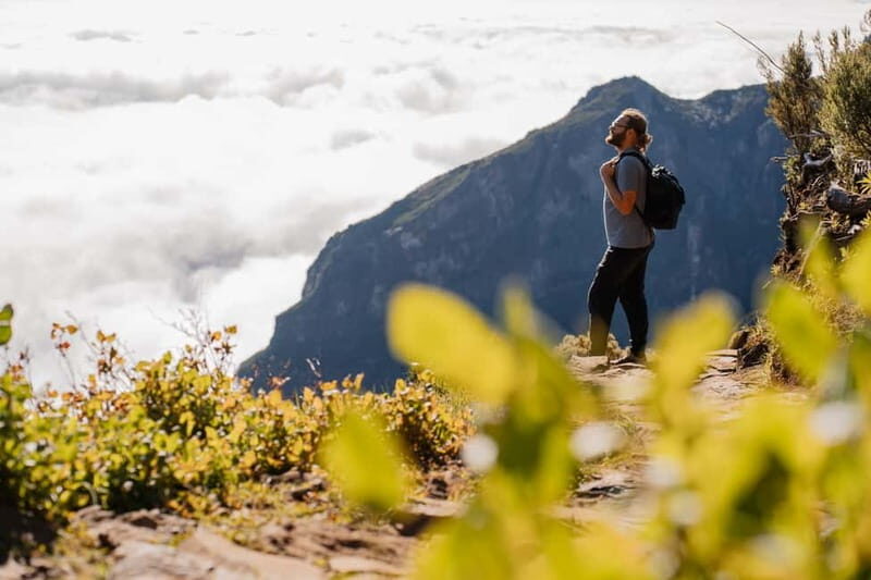 From Funchal: Transfer to Pico do Arieiro & Pico Ruivo Trail - Key Points