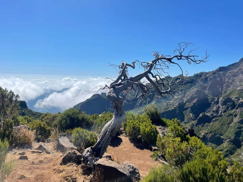From Funchal: Transfer to Pico do Arieiro & Pico Ruivo Trail - What’s Included and What’s Not
