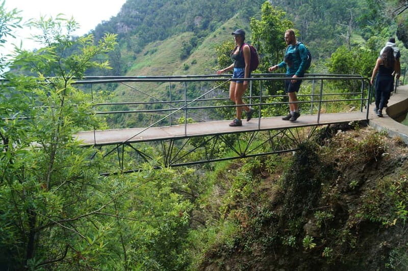 From Funchal: Wet your hair in the amazing Moinhos Levada - Key Points