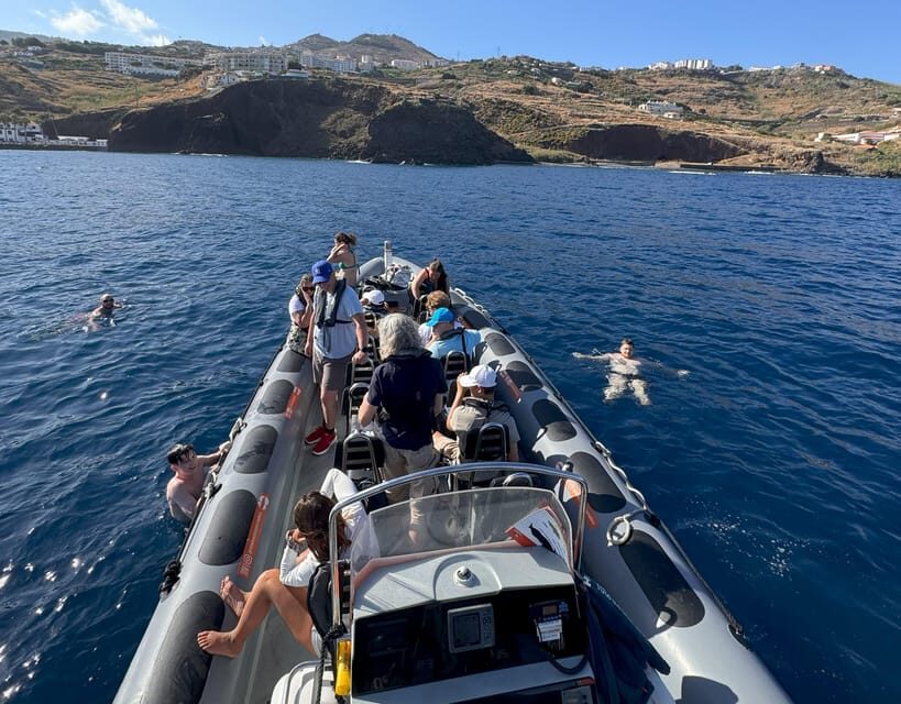 From Funchal: Whale and Dolphin Watching - The Sum Up