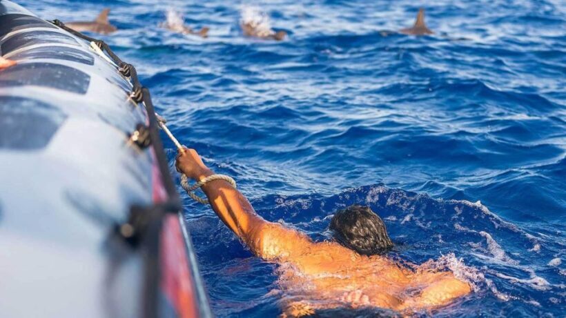 From Funchal: Whale and Dolphin Watching - FAQ