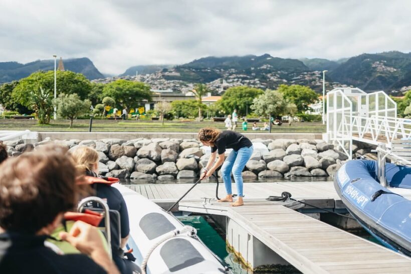 From Funchal: Whales and Dolphin Adventure Tour - What to Bring