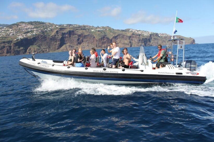 From Funchal: Whales and Dolphin Adventure Tour - The Sum Up