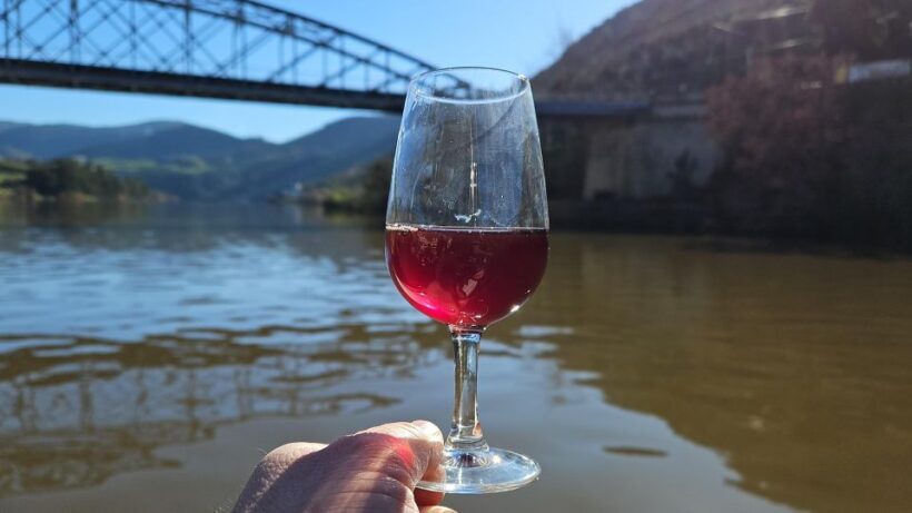 From Gaia Douro Valley Tour Wine Tasting River Cruise Lunch - A Deep Dive into the Douro Valley Experience