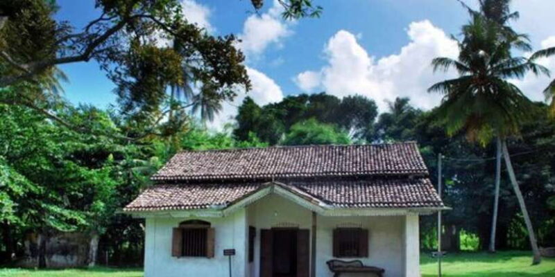 From Galle: Hidden Temples, Snakes & Coastlines Tour - Up Close with Snakes at the Snake Farm