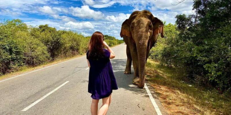 From Galle/Hikkaduwa/Mirissa Trip to Udawalawe Safari Tour - Final Thoughts: Who Should Consider This Tour?