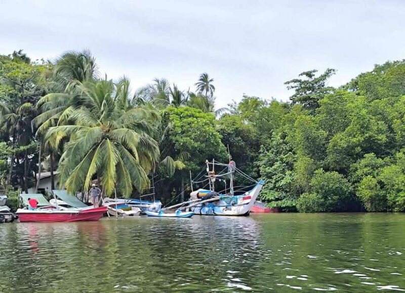 From Galle: Madu River Safari & Turtle Hatchery Visit - Key Points