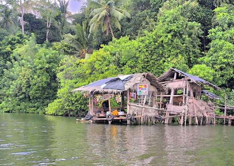 From Galle: Madu River Safari & Turtle Hatchery Visit - Cinnamon Island: Spicy Secrets and Cultural Insights