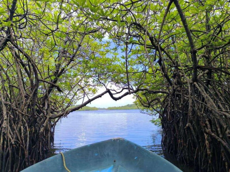 From Galle: Madu River Safari & Turtle Hatchery Visit - Temple Island: A Cultural Pause