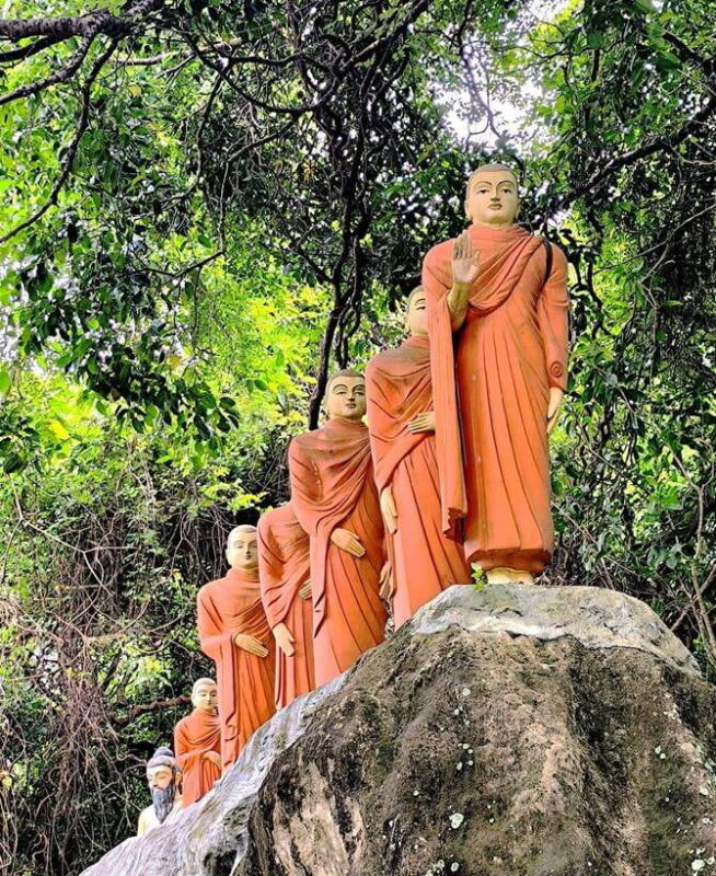 From Galle: Madu River Safari & Turtle Hatchery Visit - Turtle Conservation at Kosgoda