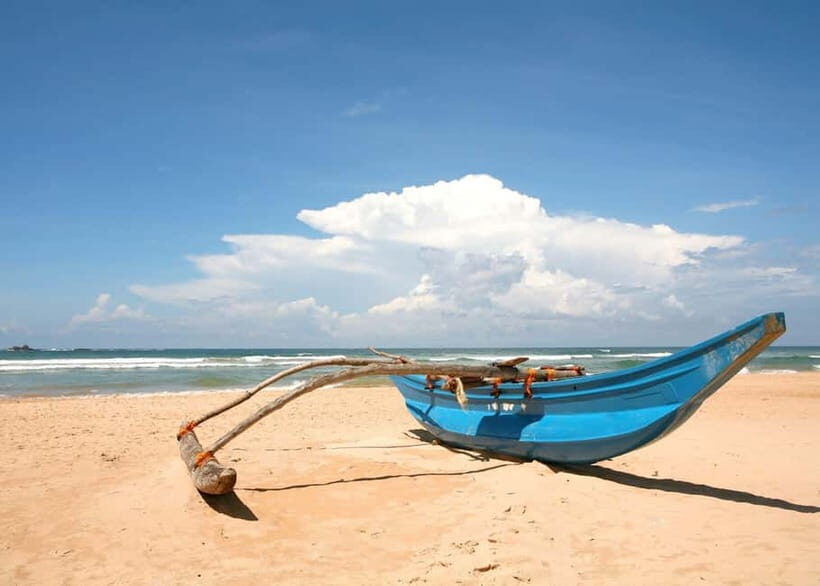 From Galle: Madu River Safari, Turtles & Galle Fort - The Itinerary in Detail