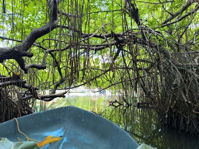 From Galle: Madu River Safari, Turtles & Galle Fort - Authenticity and Experiences