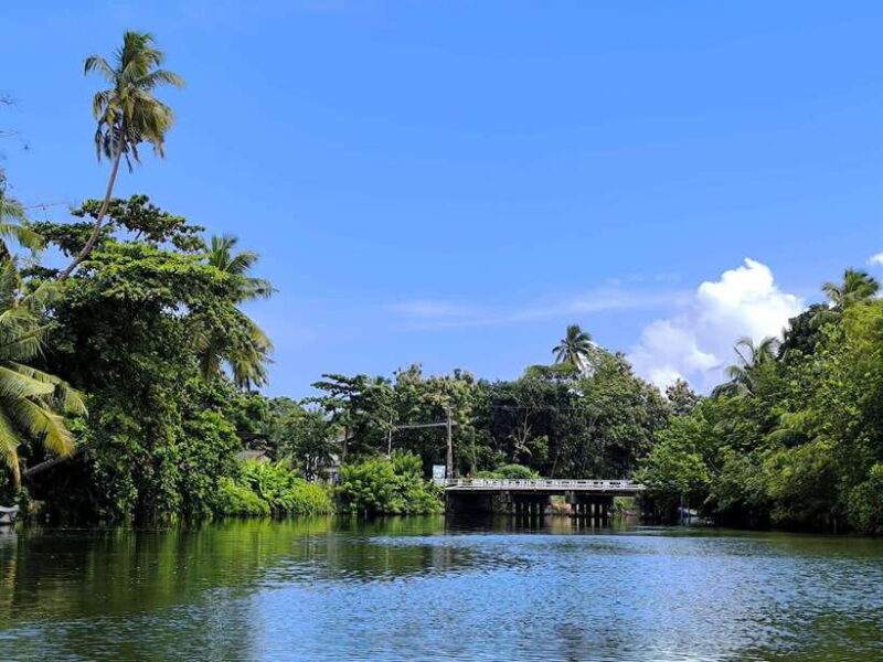 From Galle: Madu River Safari, Turtles & Galle Fort - Who Will Love This Tour?