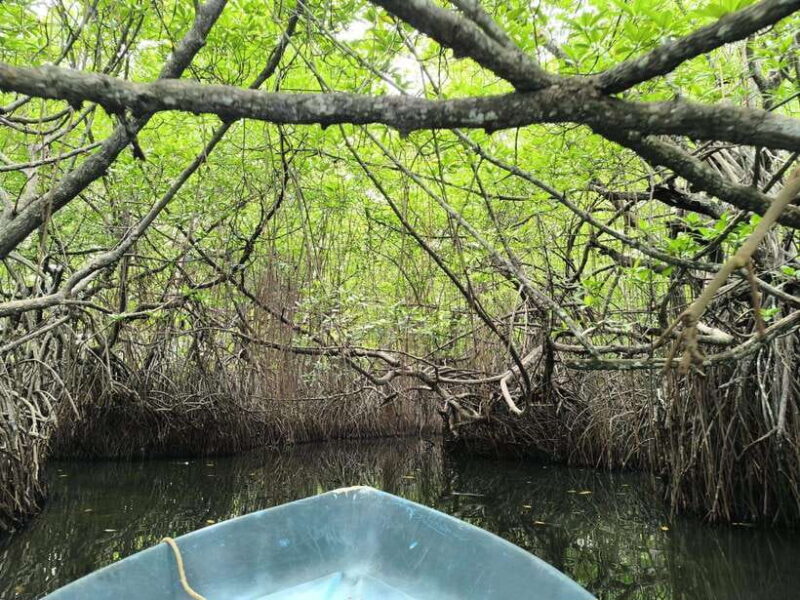 From Galle: Madu River Safari, Turtles & Galle Fort - FAQ