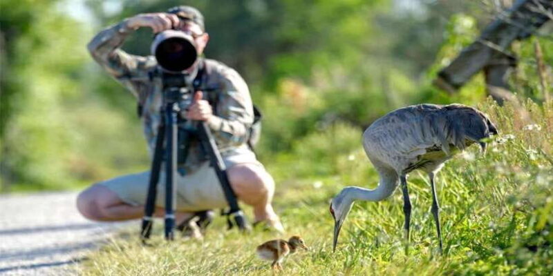 From Galle/Mirissa/Hikkaduwa- Udawalawe National Park Safari - Final Thoughts — Why This Safari Is Worth Considering