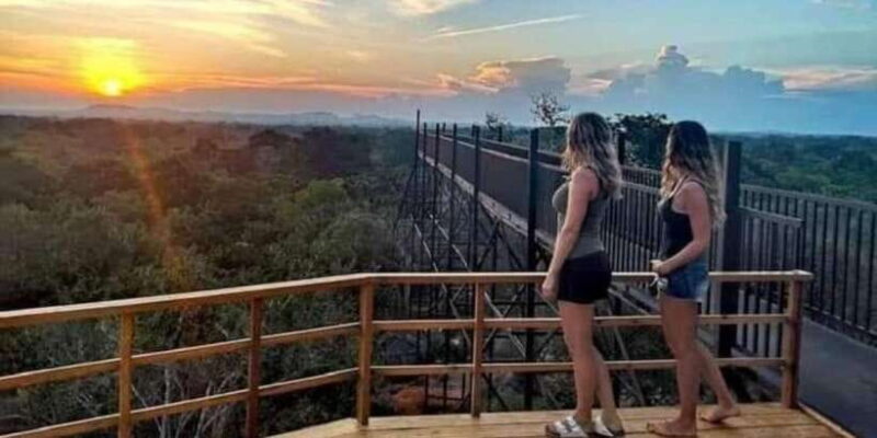 From Galle/Mirissa/Tangalle/Hikkaduwa Day trip to Ella Peaks - Final Words