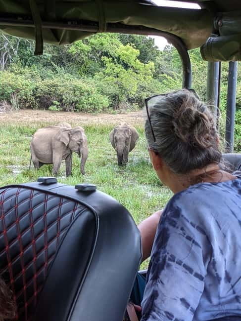 From Galle/ Mirissa/ Tangalle : Udawalawa Safari & Drop Ella - FAQs