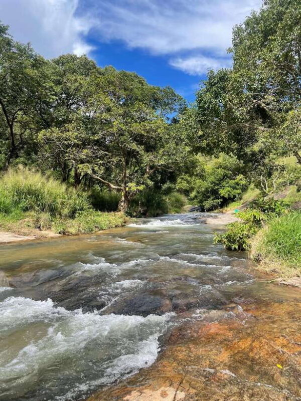 From Galle/Mirissa/Weligama: Private Waterfall Hunt to Ella - Final Thoughts