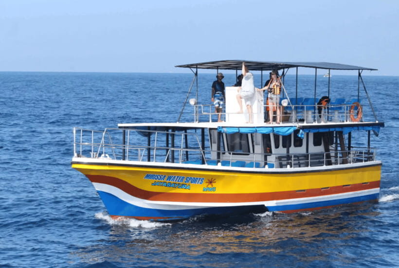 From Galle: Mirissa Whale and Dolphin Watching Boat Ride - Final Thoughts