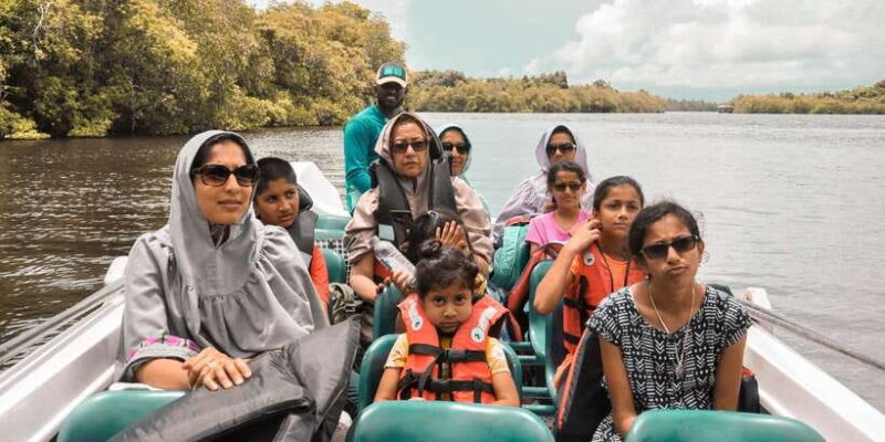 From Galle: Private Day Trip to Turtle Hatchery & Madu Ganga - Key Points