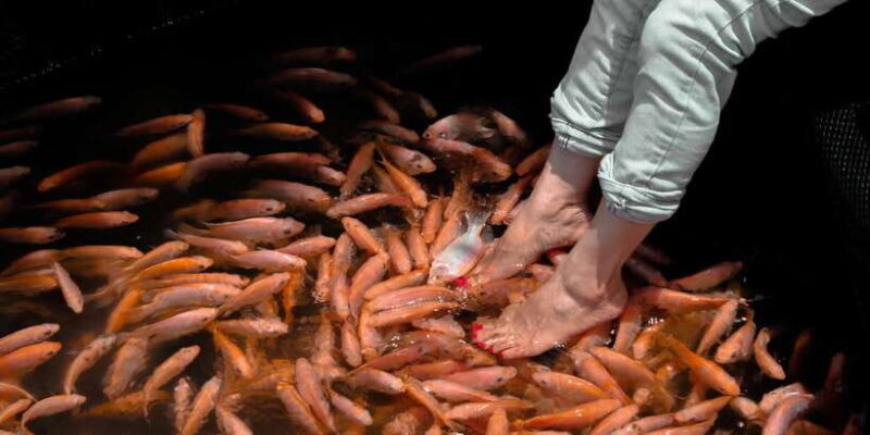 From Galle: Private Day Trip to Turtle Hatchery & Madu Ganga - Analyzing the Value