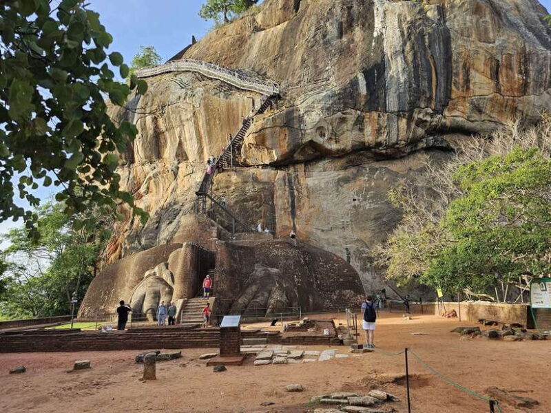 From Galle: Sigiriya Rock Fortress, Dambulla Cave & Safari - What Makes This Tour Stand Out?