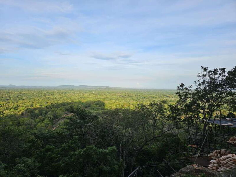 From Galle: Sigiriya Rock Fortress, Dambulla Cave & Safari - Who Will Enjoy This Tour?