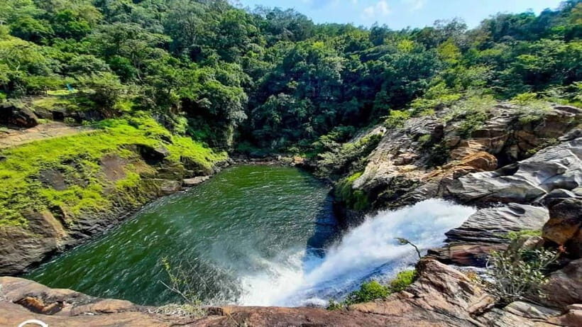 From Galle/Weligama/Mirissa/Matara: Day Trip to Sinharaja - The Itinerary in Detail
