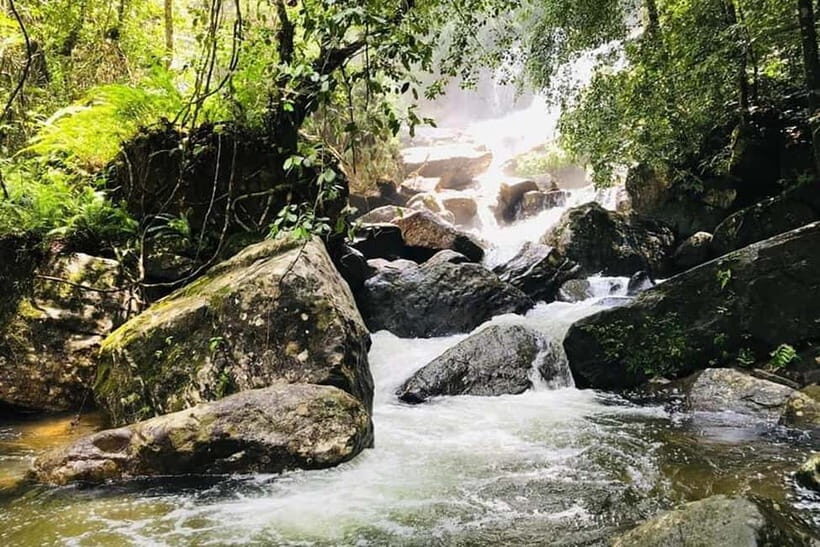From Galle/Weligama/Mirissa/Matara: Day Trip to Sinharaja - Practical Tips for Your Trip