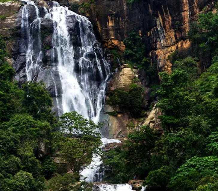 From Galle/Weligama/Mirissa/Tangalle: Day Trip to Ella - An In-Depth Look at What to Expect