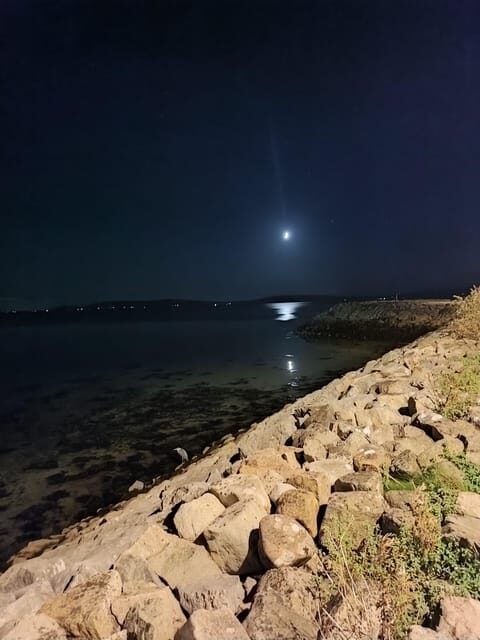 From Galway: City pub/music scene and hikes in Connemara - Introduction: A Day of Irish Charm and Natural Beauty