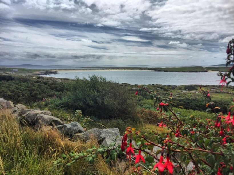 From Galway: Connemara and Kylemore Abbey Day Tour - Scenic Drive Along the Wild Atlantic Way