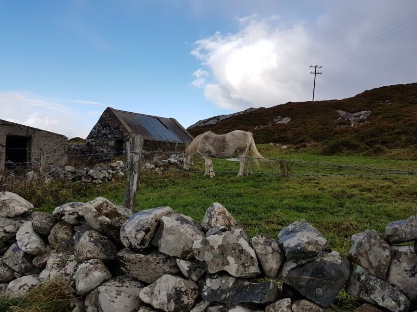 From Galway: Connemara and Kylemore Abbey Day Tour - Value and Practicality