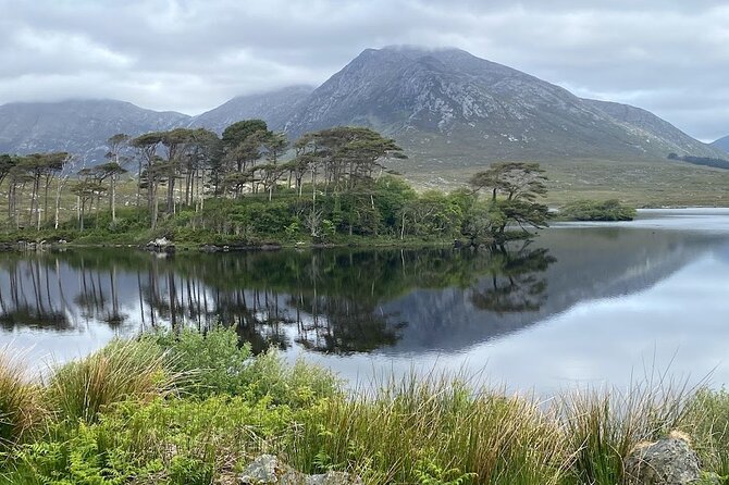 From Galway: Connemara, Kylemore Abbey & Castles 1 Day Tour - Final Thoughts: Who Will Love This Tour?