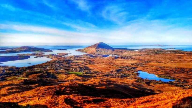 From Galway: Connemara, Kylemore Abbey or National Park Tour - A Deep Dive into the Connemara Experience