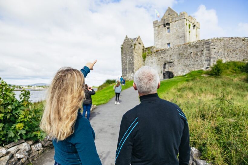 From Galway: Full-Day Cliffs of Moher & Burren Guided Tour - Who is this tour perfect for?
