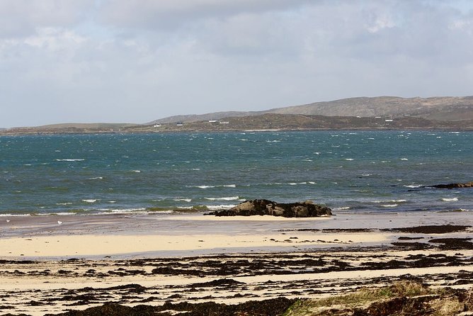 From Galway: Guided Tour of Connemara With 3 Hour Stop in Kylemore Abbey - Traveler Recommendations