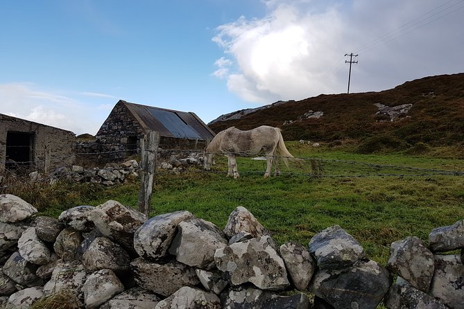 From Galway: Guided Tour of Connemara With 3 Hour Stop in Kylemore Abbey - Practical Information for Tour Participants