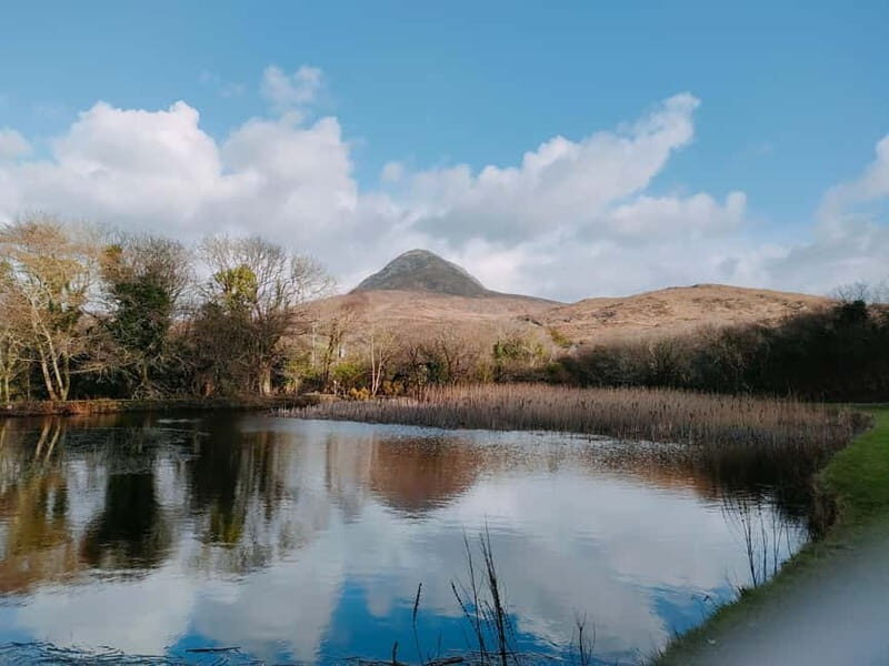 From Galway:Connemara, Kylemore Abbey & Castles Private Tour - Who Is This Tour Best For?