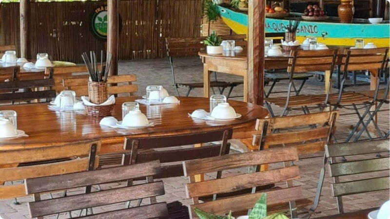 From Garden to Table: Tra Que Farming Tour - The Experience Provider