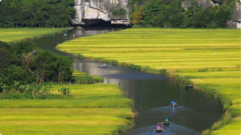 From Garden to Table: Tra Que Farming Tour - Who Should Consider This Tour?