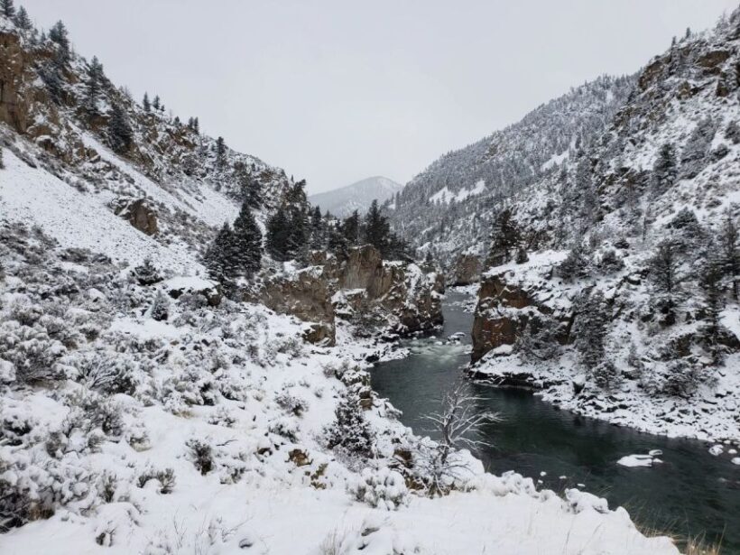 From Gardiner: Guided Yellowstone Cross-Country Skiing Tour - Key Points