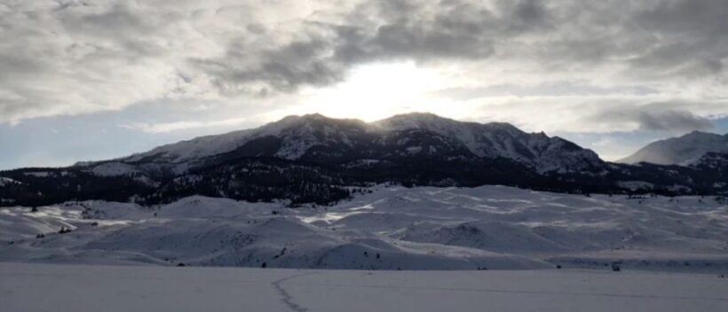 From Gardiner: Guided Yellowstone Cross-Country Skiing Tour - Practical Considerations and Value