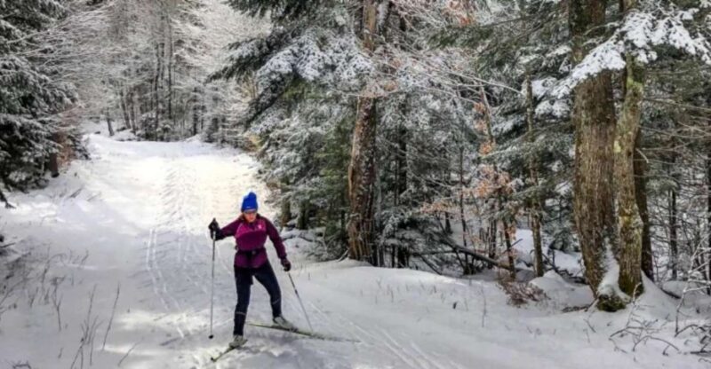 From Gardiner: Guided Yellowstone Cross-Country Skiing Tour - What Makes This Tour Stand Out?