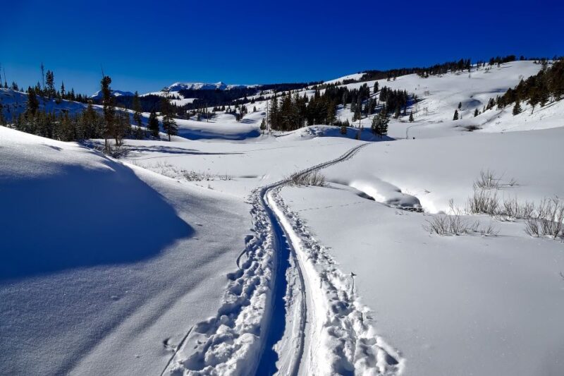 From Gardiner: Guided Yellowstone Cross-Country Skiing Tour - The Itinerary: What to Expect