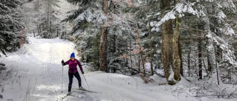 From Gardiner: Guided Yellowstone Cross-Country Skiing Tour - The Value: Price vs. Experience