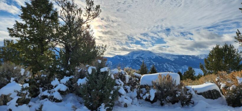 From Gardiner: Yellowstone National Park Snowshoe Tour - Who Will Love This Tour?