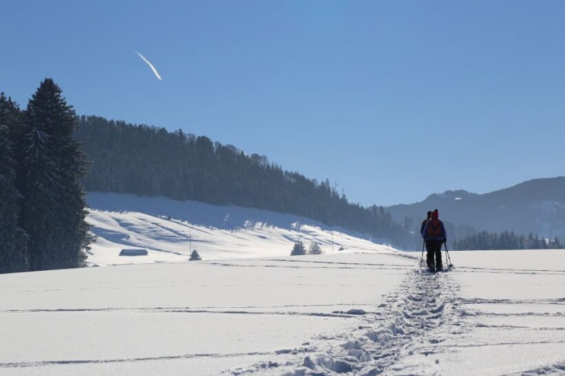 From Gardiner: Yellowstone National Park Snowshoe Tour - The Sum Up